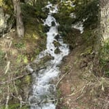 Natural Rock Arch Trail, Oregon - 219 Reviews, Map | AllTrails