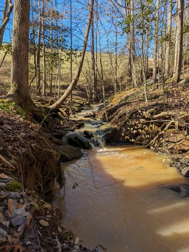 Best Hikes and Trails in Peter's Creek Heritage Preserve | AllTrails