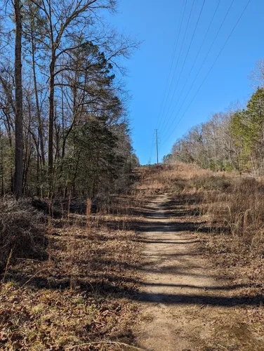 Best Hikes and Trails in Peter's Creek Heritage Preserve | AllTrails