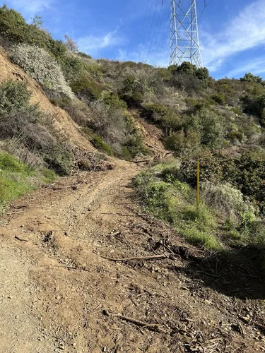 Rustic Canyon Park: de beste routes om te wandelen | AllTrails