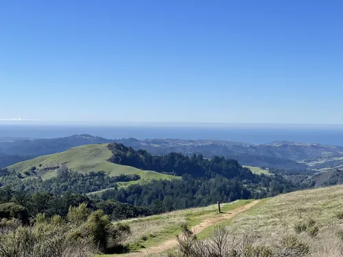 Best Mountain Biking Trails in Russian Ridge Open Space Preserve ...