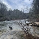 Long Creek Falls, South Carolina - 580 Reviews, Map | AllTrails