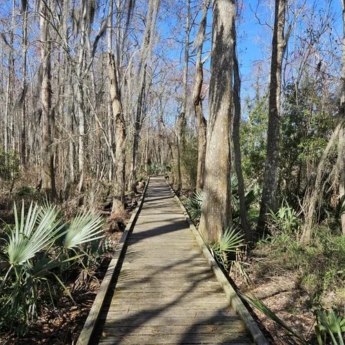 Best Hikes and Trails in Fairview-Riverside State Park | AllTrails