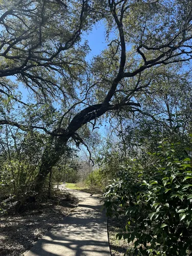 Best Hikes and Trails in Medina Base Road Park | AllTrails