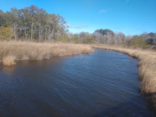 Best Hikes and Trails in Currituck Banks Reserve | AllTrails