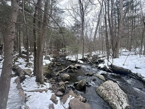 Best Historic Site Trails in Kaaterskill Wild Forest | AllTrails