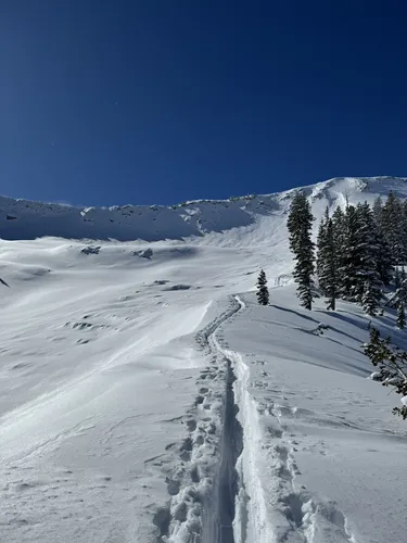 Snowbird Ski Resort: de beste routes om te wandelen | AllTrails