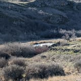 Towell Falls from Escure Ranch, Washington - 207 Reviews, Map | AllTrails