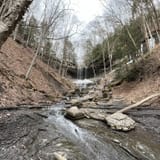 Tinker Falls Trail, New York - 552 Reviews, Map | AllTrails