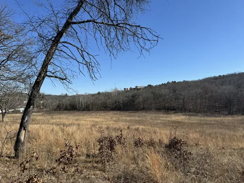 Best Forest Trails in Rolla | AllTrails