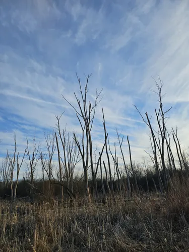 Best Hikes and Trails in Blackwell Forest Preserve | AllTrails