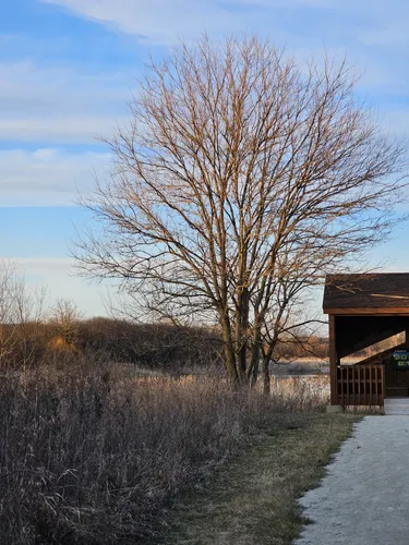 Best Hikes and Trails in Blackwell Forest Preserve | AllTrails