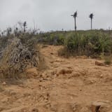 Cerro Mauco, Valparaíso, Chile - 120 Reviews, Map | AllTrails