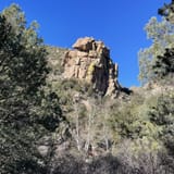 Rogers Canyon Loop Trail from Reavis Trailhead, Arizona - 15 Reviews ...