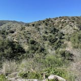 Colby Trail, California - 812 Reviews, Map | AllTrails