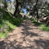 Colby Trail, California - 812 Reviews, Map | AllTrails