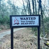 Nimblewill Gap OHV Road, Georgia - 363 Reviews, Map | AllTrails