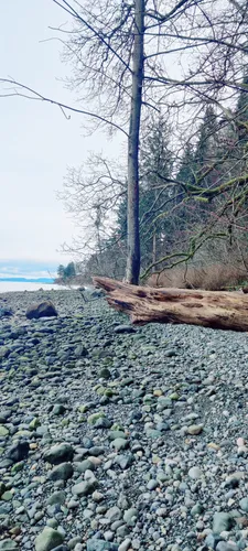 Best Beach Trails in Merville | AllTrails