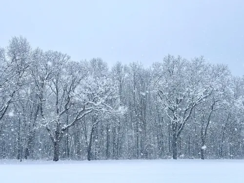 Best Hikes and Trails in Nevers Road Park | AllTrails