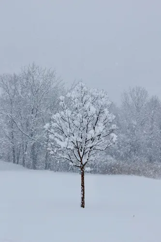 Best Hikes and Trails in Nevers Road Park | AllTrails