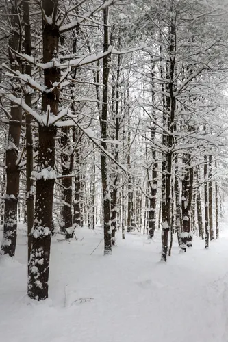 Best Hikes and Trails in Nevers Road Park | AllTrails