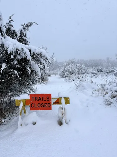 Best Hikes and Trails in Nevers Road Park | AllTrails