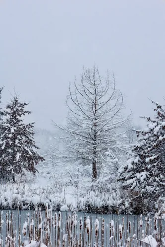 Best Hikes and Trails in Nevers Road Park | AllTrails