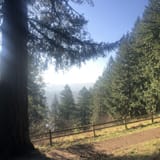 Mount Tabor: Main Loop, Oregon - 2,395 Reviews, Map | AllTrails