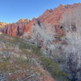 Johnson Canyon Trail, Utah - 973 Reviews, Map | AllTrails