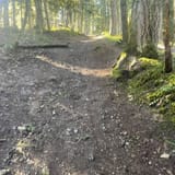 Lantzville Lookout Loop, British Columbia, Canada - 1,553 Reviews, Map ...