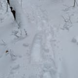 Giuffrida Park Loop, Connecticut - 1,627 Reviews, Map | AllTrails