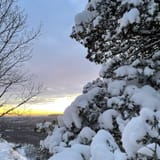 Giuffrida Park Loop, Connecticut - 1,627 Reviews, Map | AllTrails