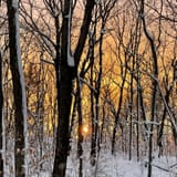 Giuffrida Park Loop, Connecticut - 1,627 Reviews, Map | AllTrails