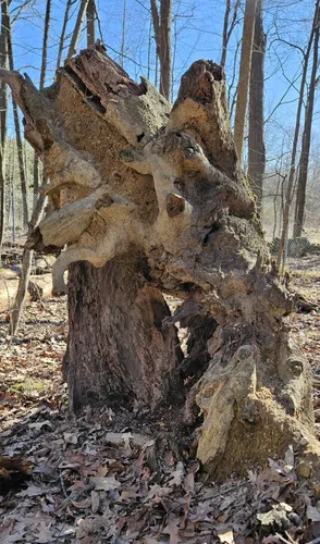 Best Hikes and Trails in Addison Oaks County Park | AllTrails