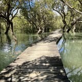 Waitangi to Haruru Falls Walk, Northland, New Zealand - 286 Reviews ...