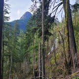 Duckabush River Trail to Five Mile Camp, Washington - 863 Reviews, Map ...