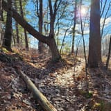 Raven Ridge Loop, Vermont - 255 Reviews, Map | AllTrails