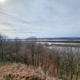 McAdams Peak Trail, Illinois - 832 Reviews, Map | AllTrails