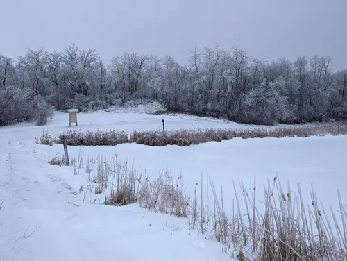 Best Kid Friendly Trails in Turtle Mountain Provincial Park | AllTrails