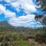 Mount Pillinger Arm River Loop Track, Tasmania, Australia - 19 Reviews ...