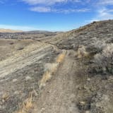 Tom Cooke and Steamboat Ditch Trail, Nevada - 647 Reviews, Map | AllTrails
