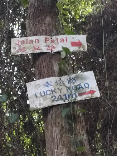 Best Walking Trails in Chukai | AllTrails