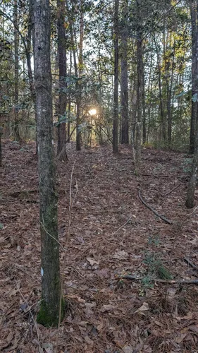 Best Hikes and Trails in Historic Blakeley State Park | AllTrails