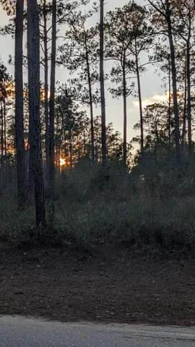 Best Hikes and Trails in Historic Blakeley State Park | AllTrails