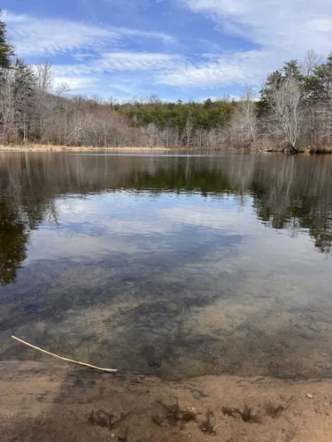 Best Hikes and Trails in Blue Wall Preserve | AllTrails