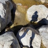 Romero Canyon Trail to Romero Pools, Arizona - 3,595 Reviews, Map ...