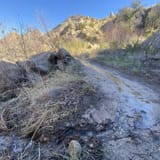 Romero Canyon Trail to Romero Pools, Arizona - 3,595 Reviews, Map ...
