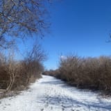 Sachuest Point National Wildlife Refuge Trail, Rhode Island - 1,593 ...