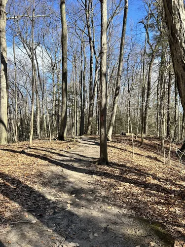Best Hikes and Trails in Whiting Road Nature Preserve | AllTrails