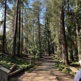 UC Davis Arboretum Trail, California - 1,228 Reviews, Map | AllTrails